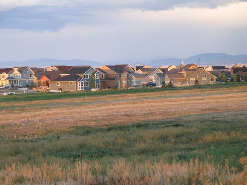 Lots FOR SALE in Centerra